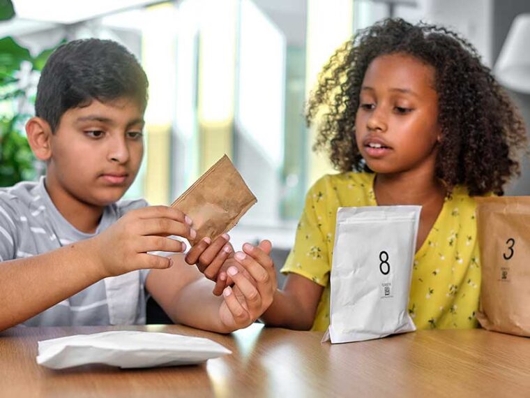 The LEGO Group: Pledges 100% Sustainable Packaging by 2025 - Papermart