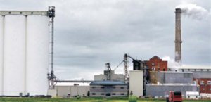 Top Paper Companies in India - Papermart