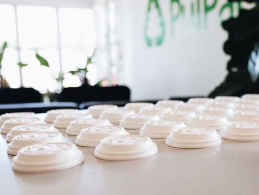 PulPac Expands Global IP for Dry Molded Fiber - Papermart