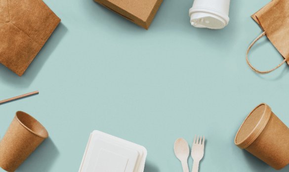 Single-Use Plastic Ban Opens the Door of Opportunities for Paper ...