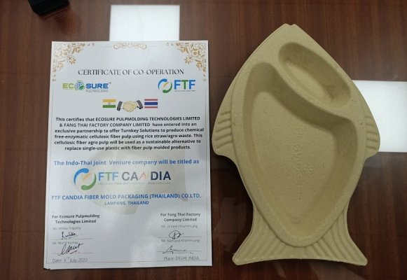 Ecosure Pulpmolding Technologies to Offer Green-Fiber Pulp Mill ...