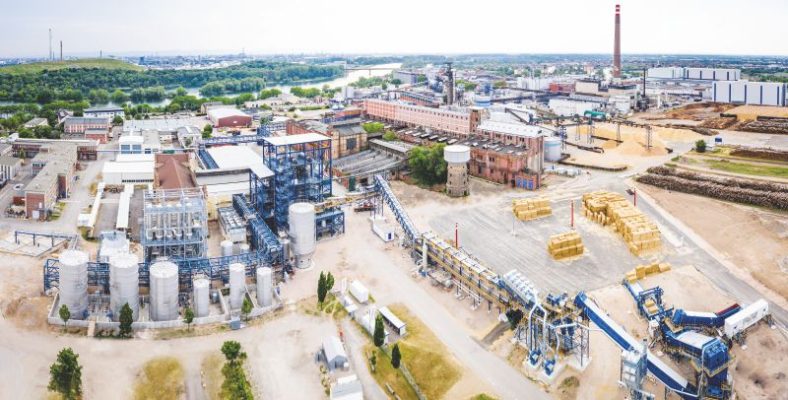 Essity's Circular Innovation: A Tissue Breakthrough Using Annual ...