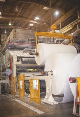 Abu Dhabi National Paper Mill: Nurturing Sustainability with 95,000 TPA ...