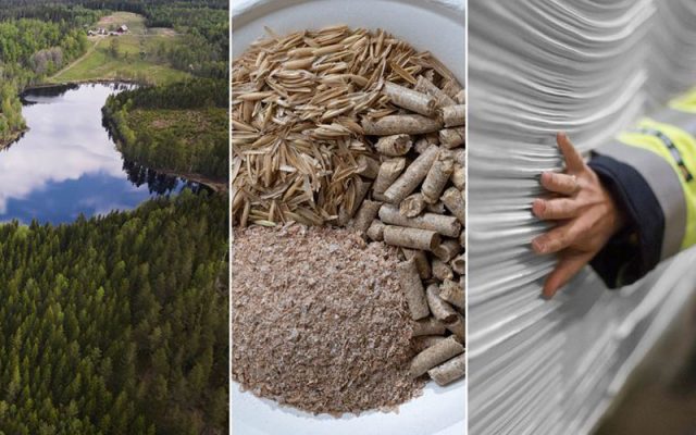 Södra, Sweden: New Pulp by Combining Softwood and Agricultural Residue ...