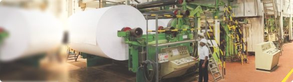 Top Paper Companies 2023 - Papermart