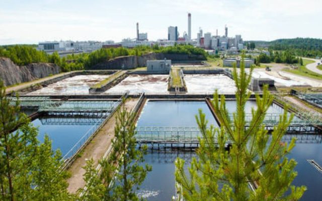 UPM Pulp Curtails Production at 2 Pulp Mills in Finland - Papermart