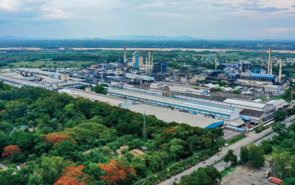 ITC-PSPD Rolls Out ‘Sign-Up Green’ Solid Board Focusing on ...