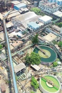 Seshasayee Paper and Boards: A Wood Positive Company with Eco-Conscious ...