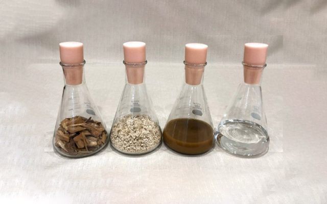 Nippon Paper Partners Project on Commercial Production of Sustainable ...