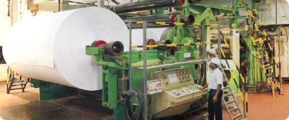 Top Paper Companies 2025: A Year of Contrasts - Papermart