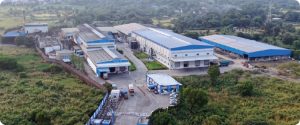 Top Paper Companies 2025: A Year of Contrasts - Papermart