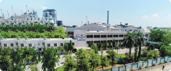 Top Paper Companies 2025: A Year of Contrasts - Papermart