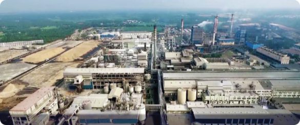 Top Paper Companies 2025: A Year of Contrasts - Papermart